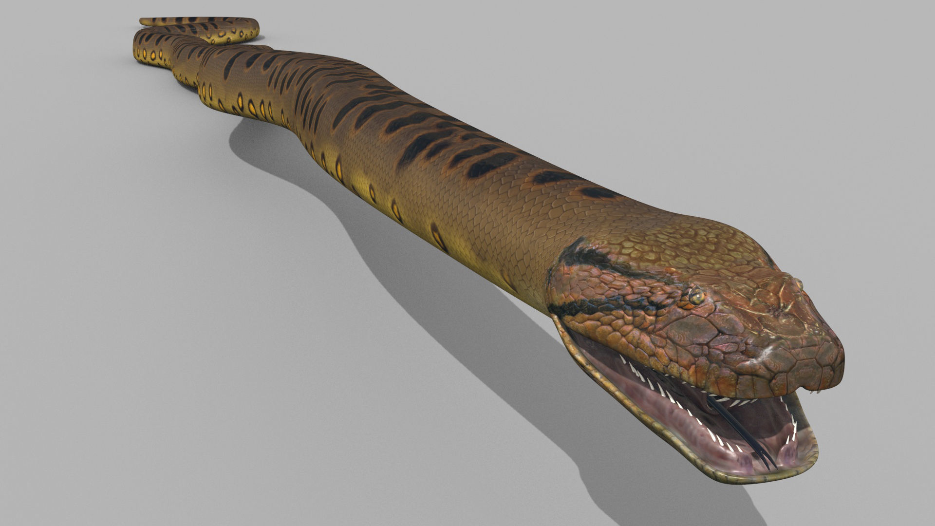 Monstre Anacond 8K - 3d animated model 3D model animated rigged | CGTrader