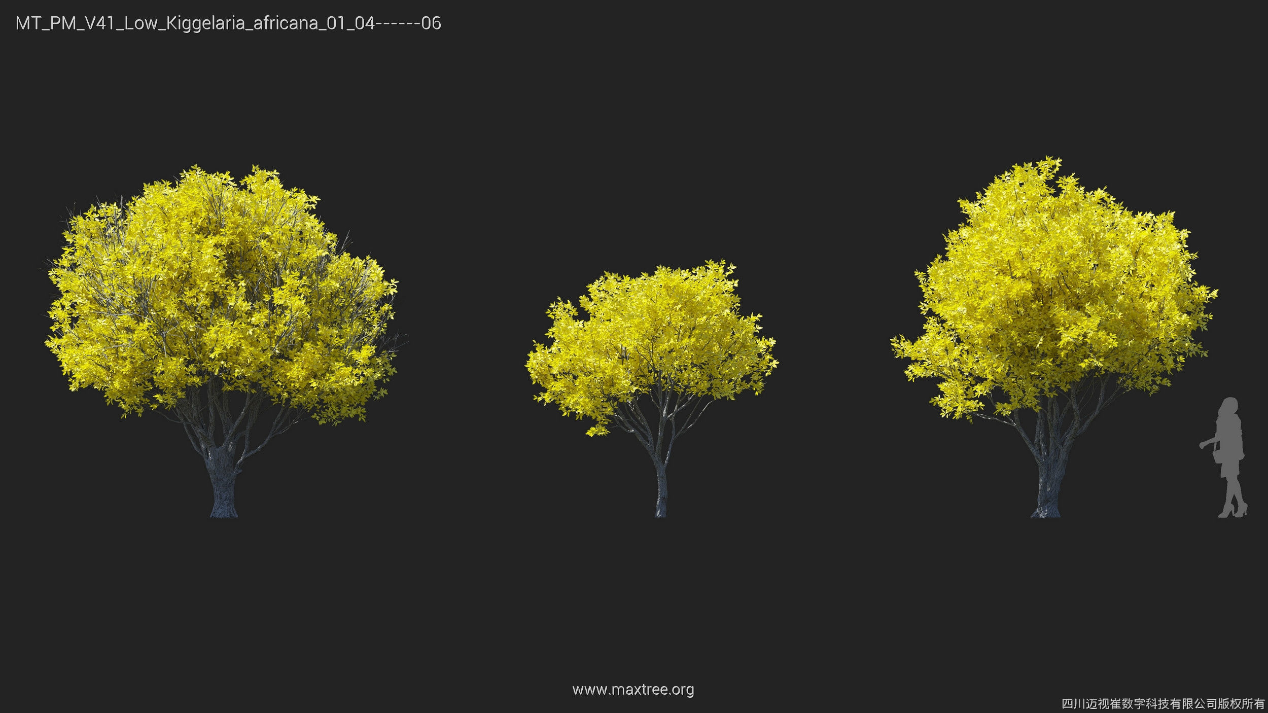 Maxtree Plant Models Vol 41 Low - Mesh 3D model | CGTrader