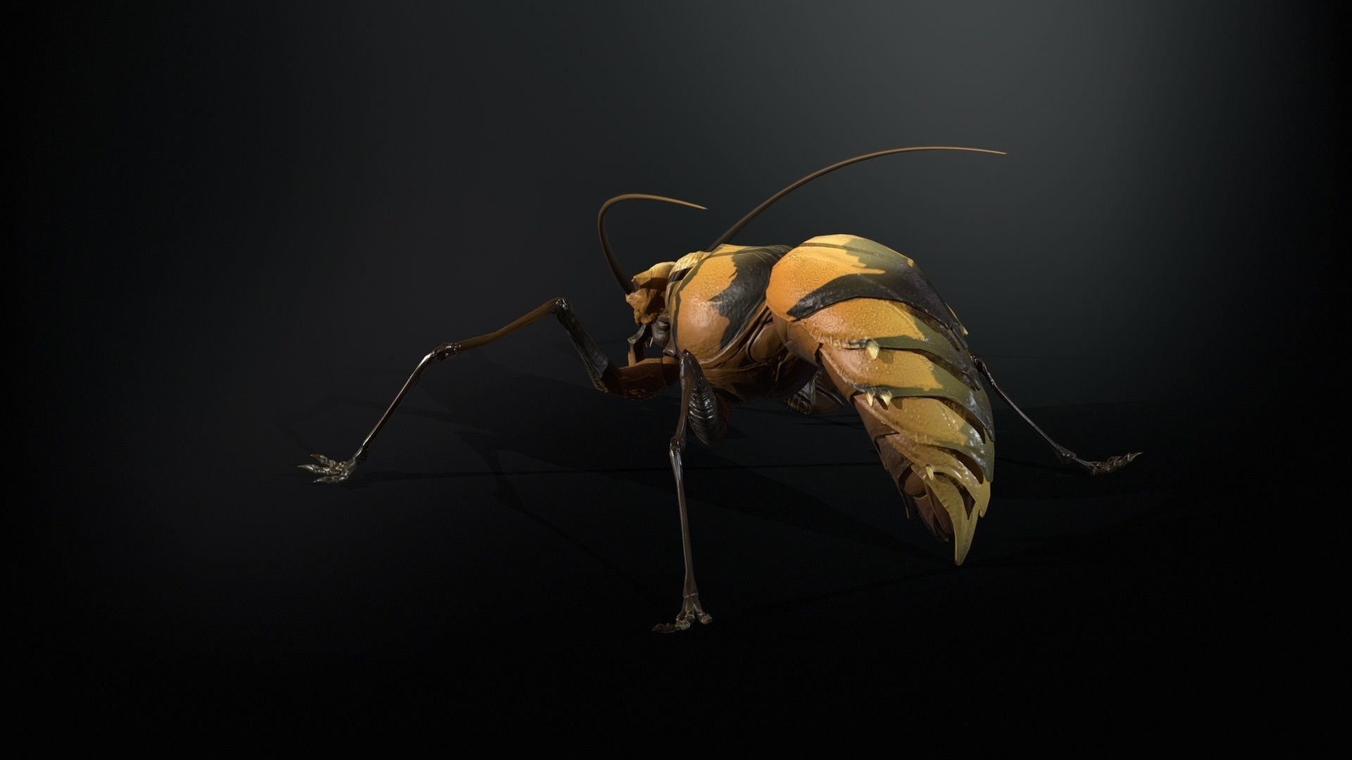 3D model Cockroach1 VR / AR / low-poly | CGTrader