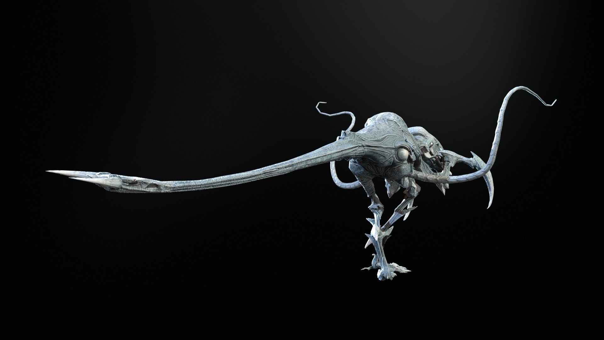 3D model Raptor VR / AR / low-poly | CGTrader