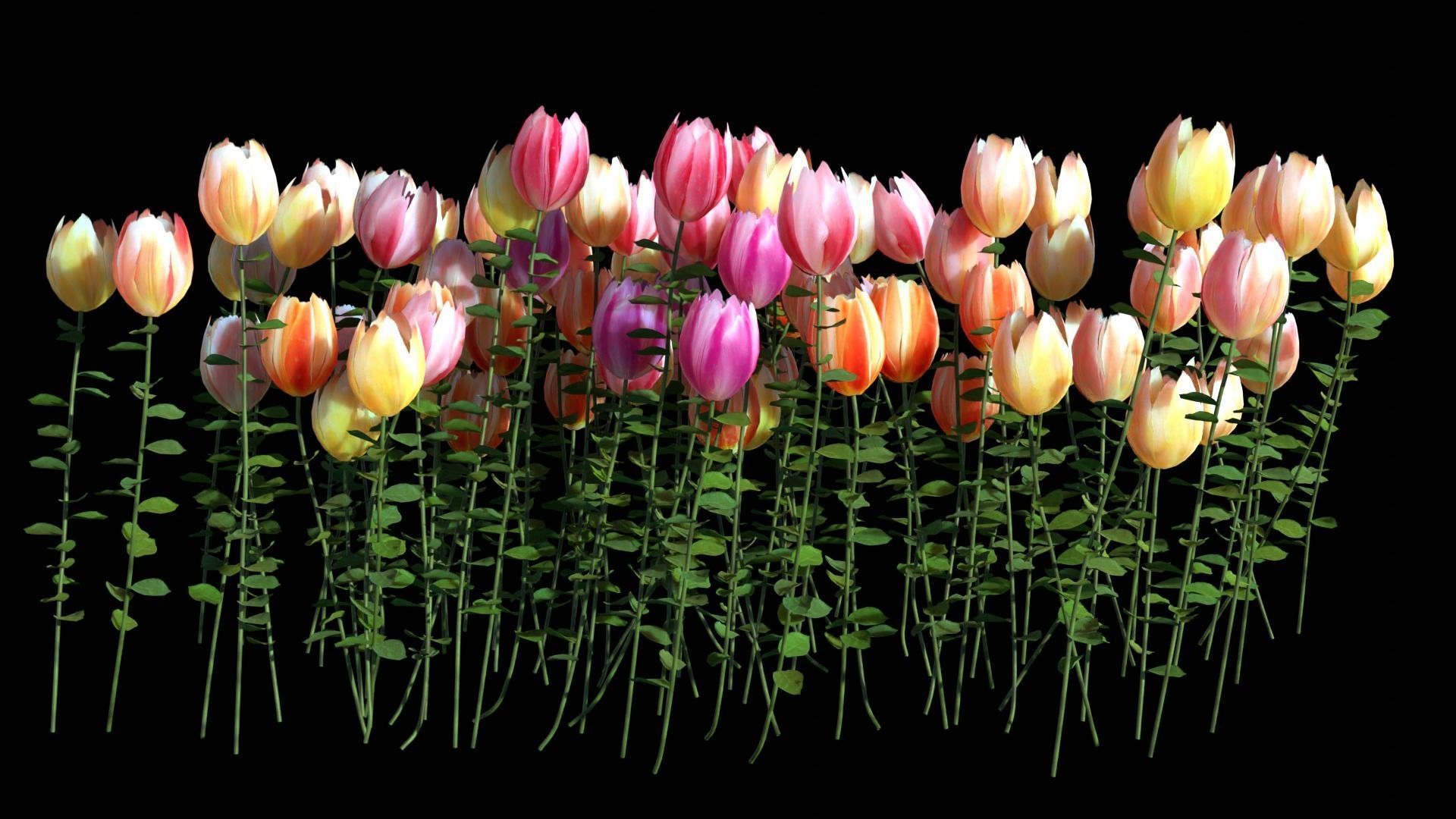 Flower Garden Toolkit for Blender with Geometry Nodes 3D model | CGTrader