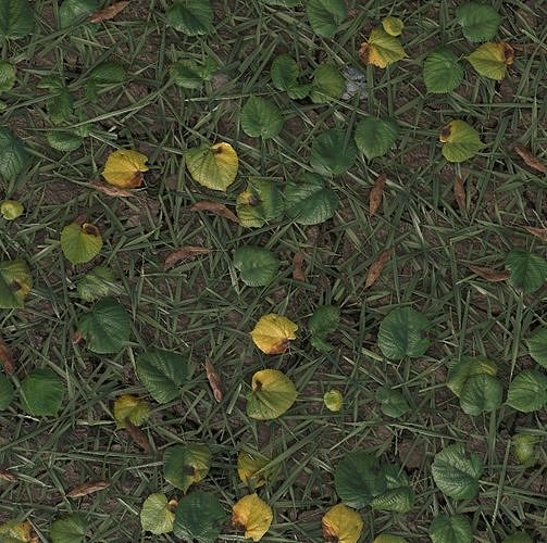 Forest ground texture2K Free free Texture | CGTrader