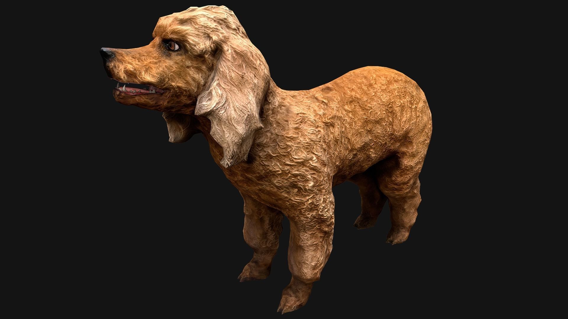 3D model Dog Cockapoo Cocker Spaniel Mix Poodle VR / AR / low-poly ...