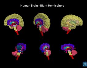Rights 3D Printing Models | CGTrader