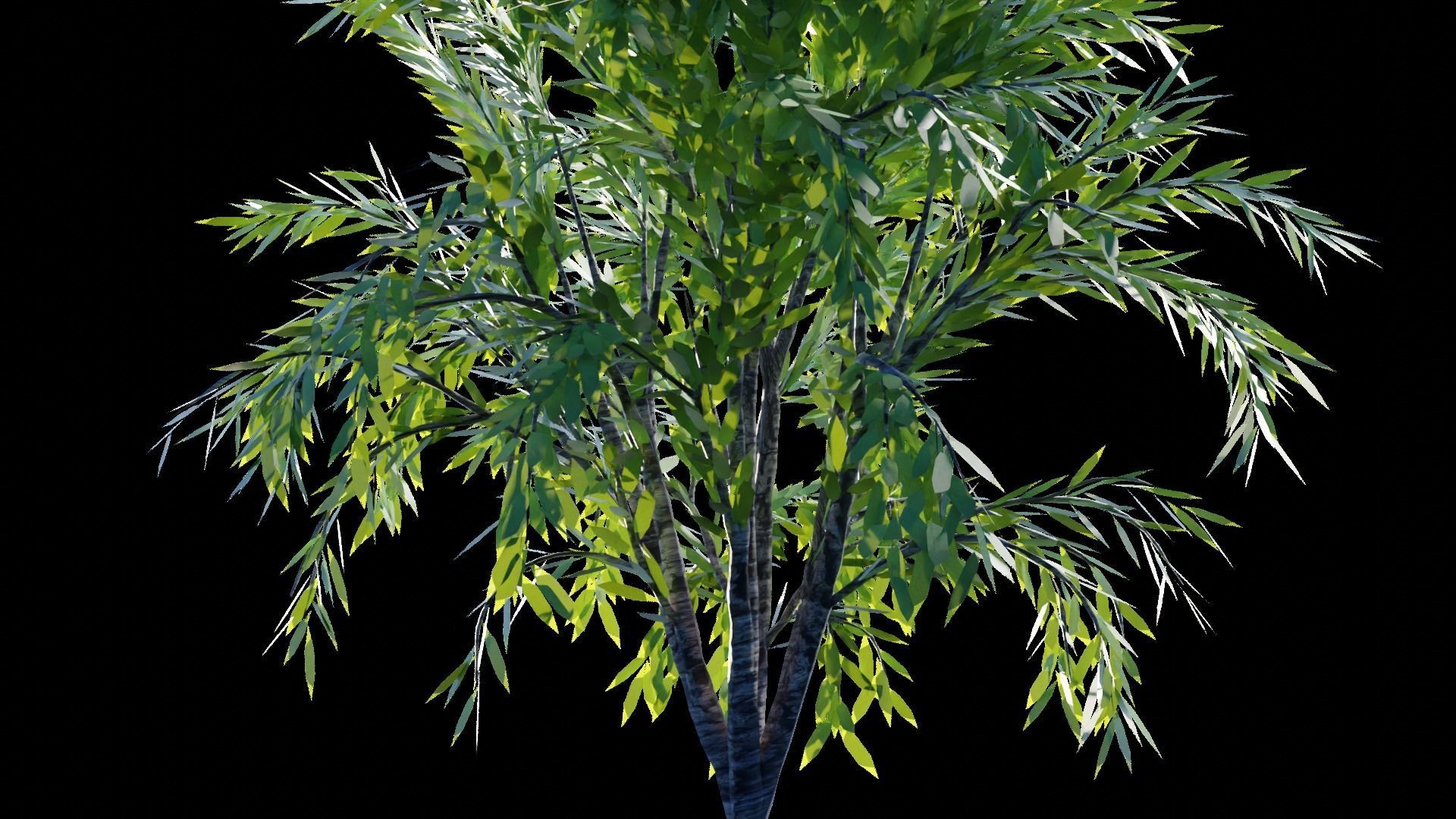 Realistic Tree free VR / AR / low-poly 3D model animated rigged | CGTrader