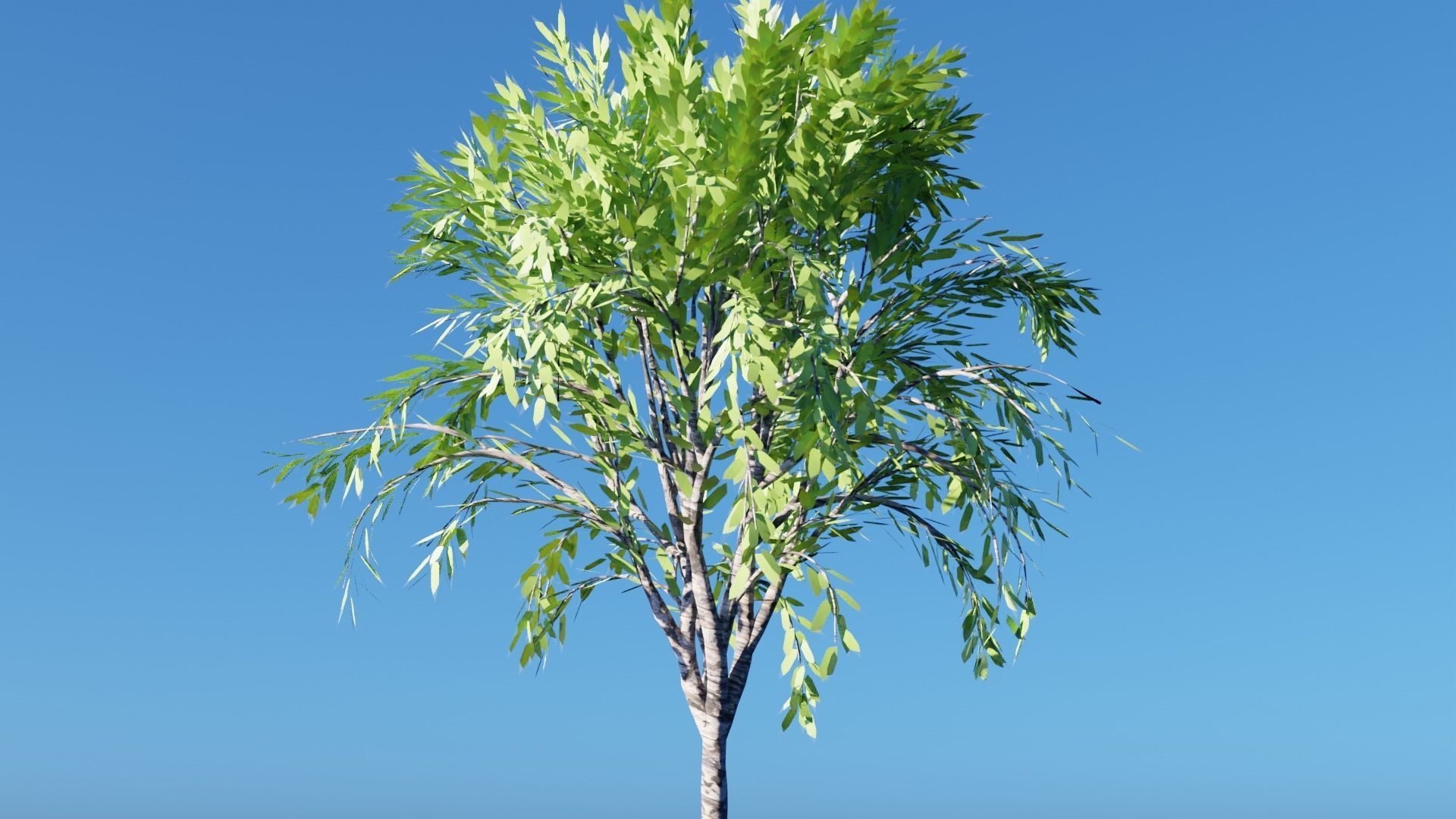 Realistic Tree free VR / AR / low-poly 3D model animated rigged | CGTrader