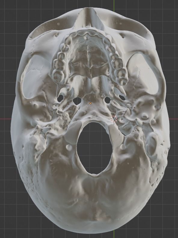 3D Human Skull with Cap and Mandible 3D model 3D printable | CGTrader