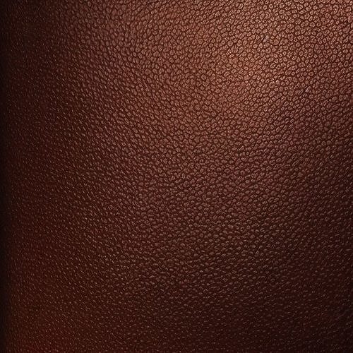 Textures Leather Texture | CGTrader