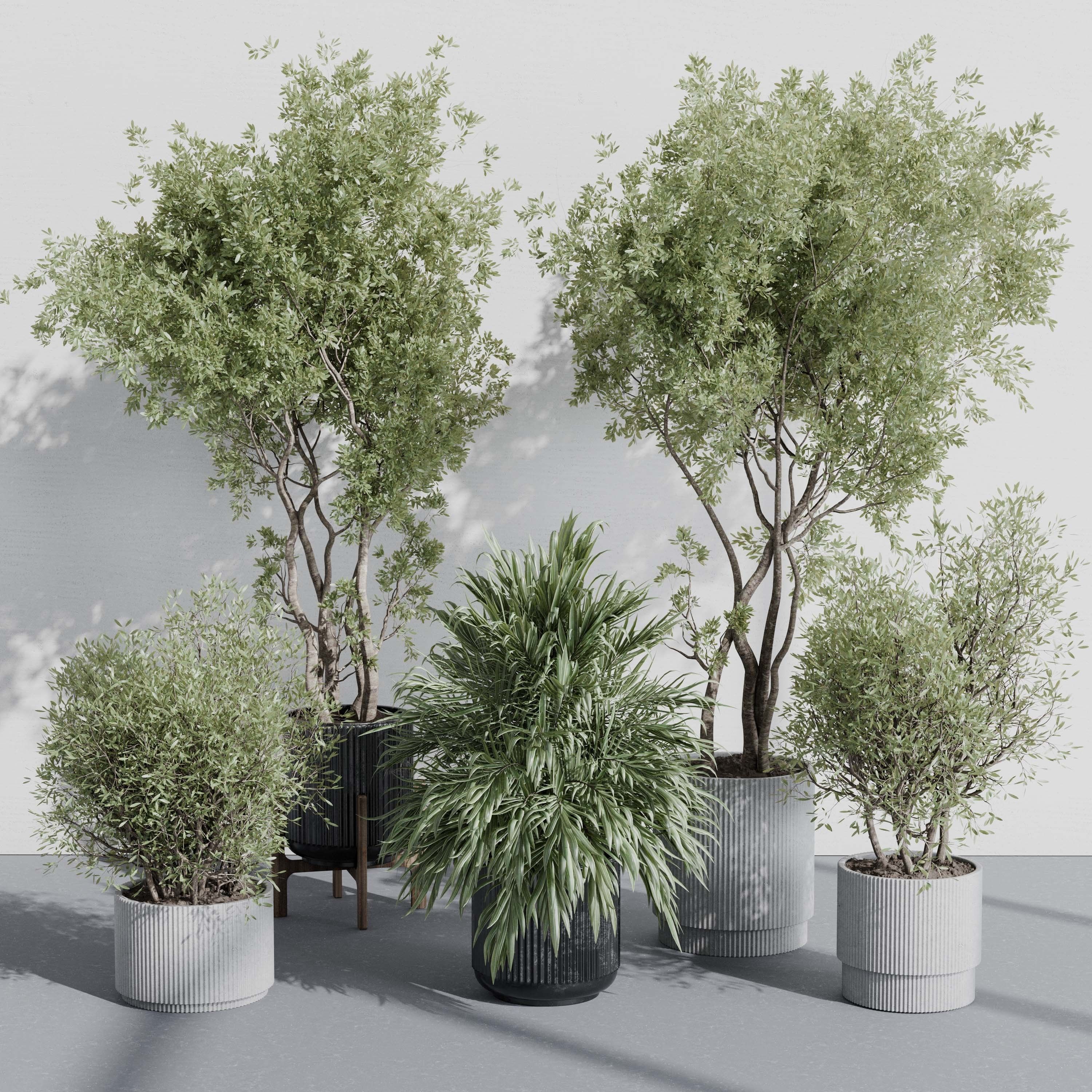 3D model indoor plant set 387 plant tree palm bush concrete dirt vase ...