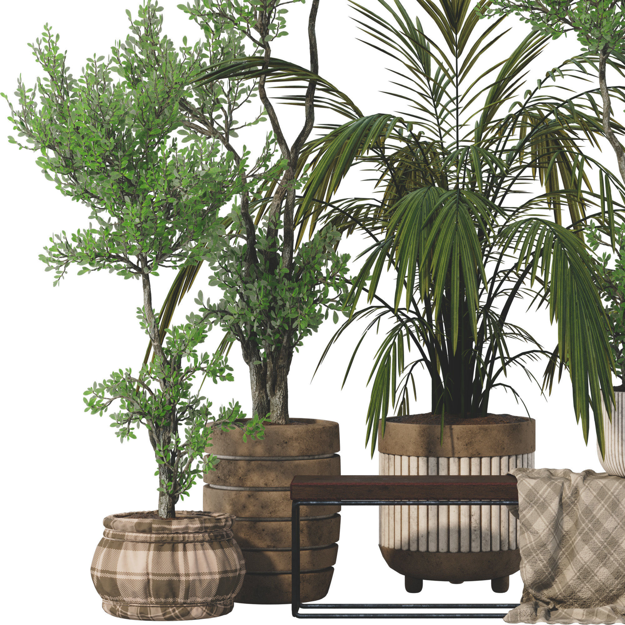 Decorative parlour Palm and tree in pot 109 3D model | CGTrader