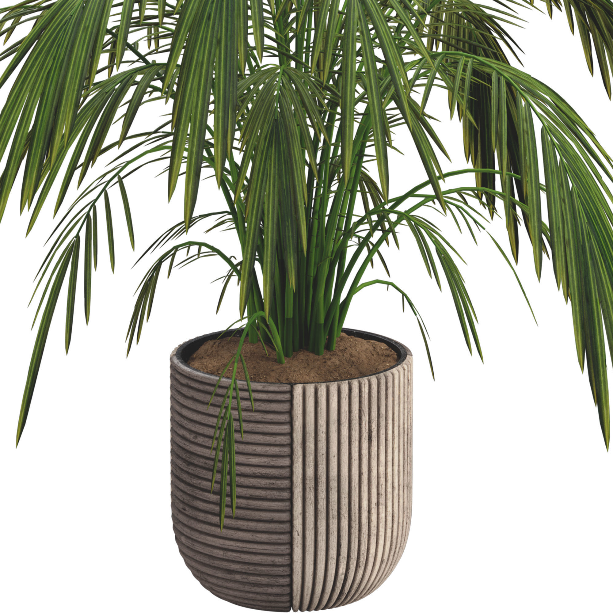 Decorative Palm tree in pot 108 3D model | CGTrader