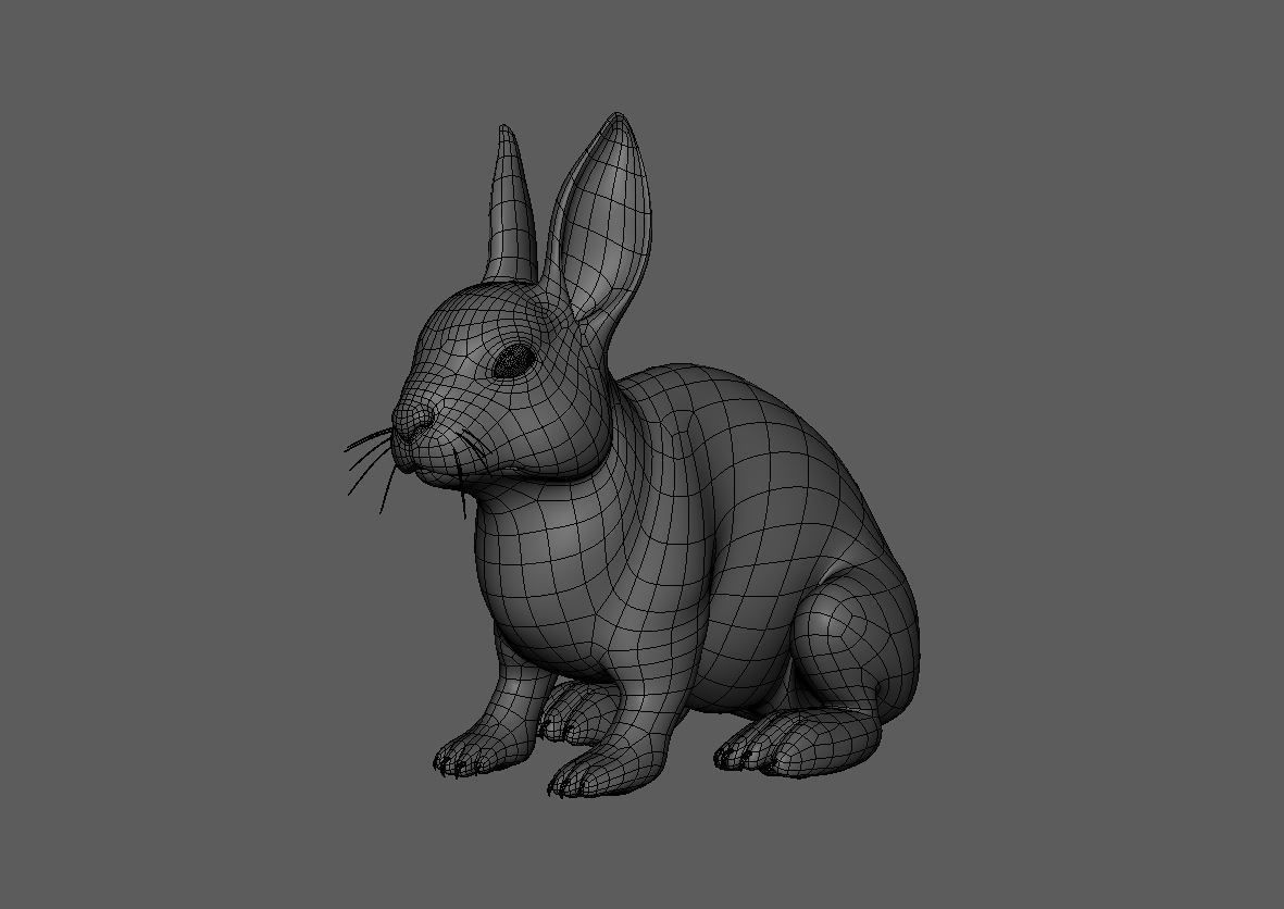 Rabbit 3D model | CGTrader