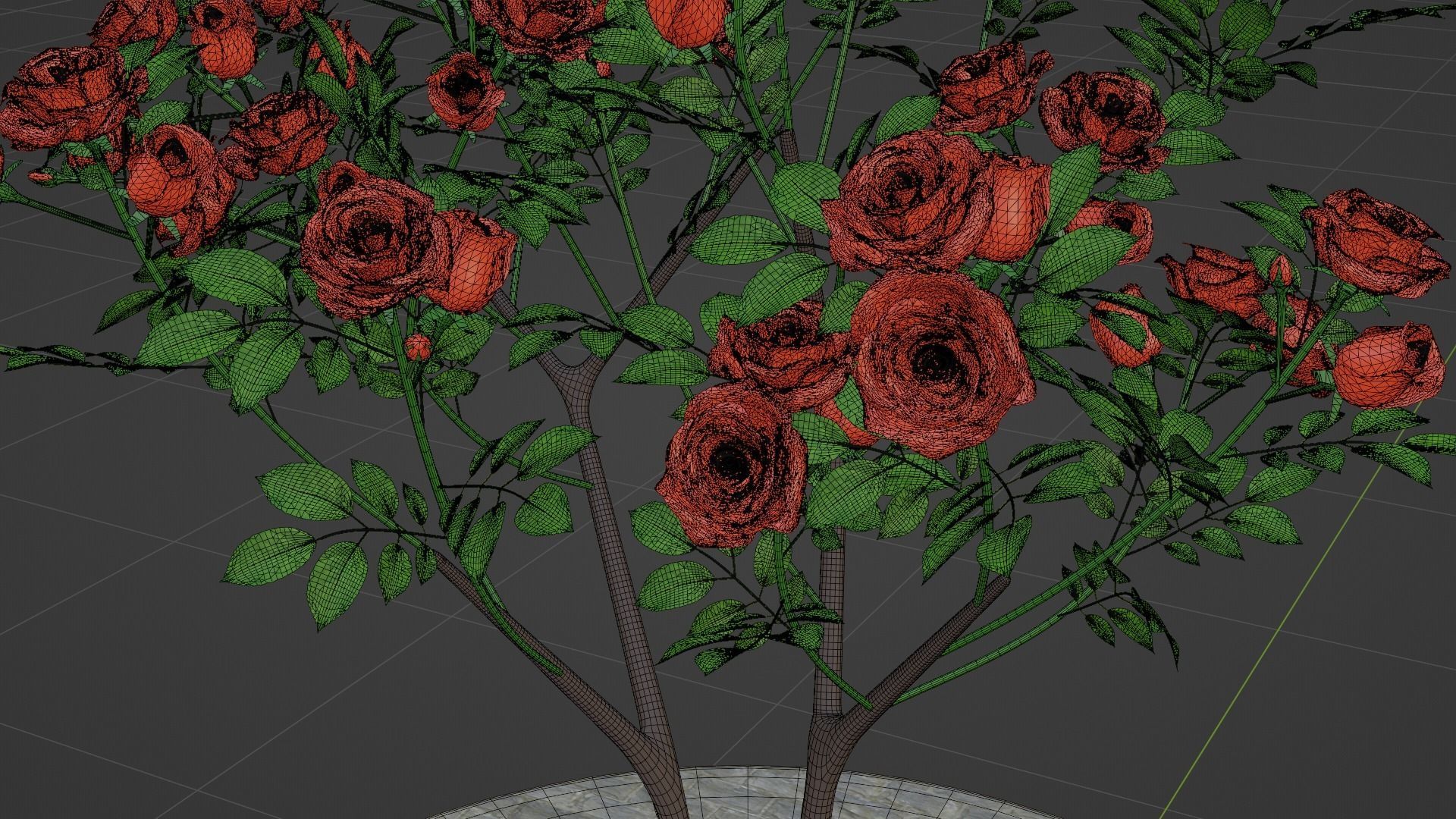 Rose Plant 3D model | CGTrader