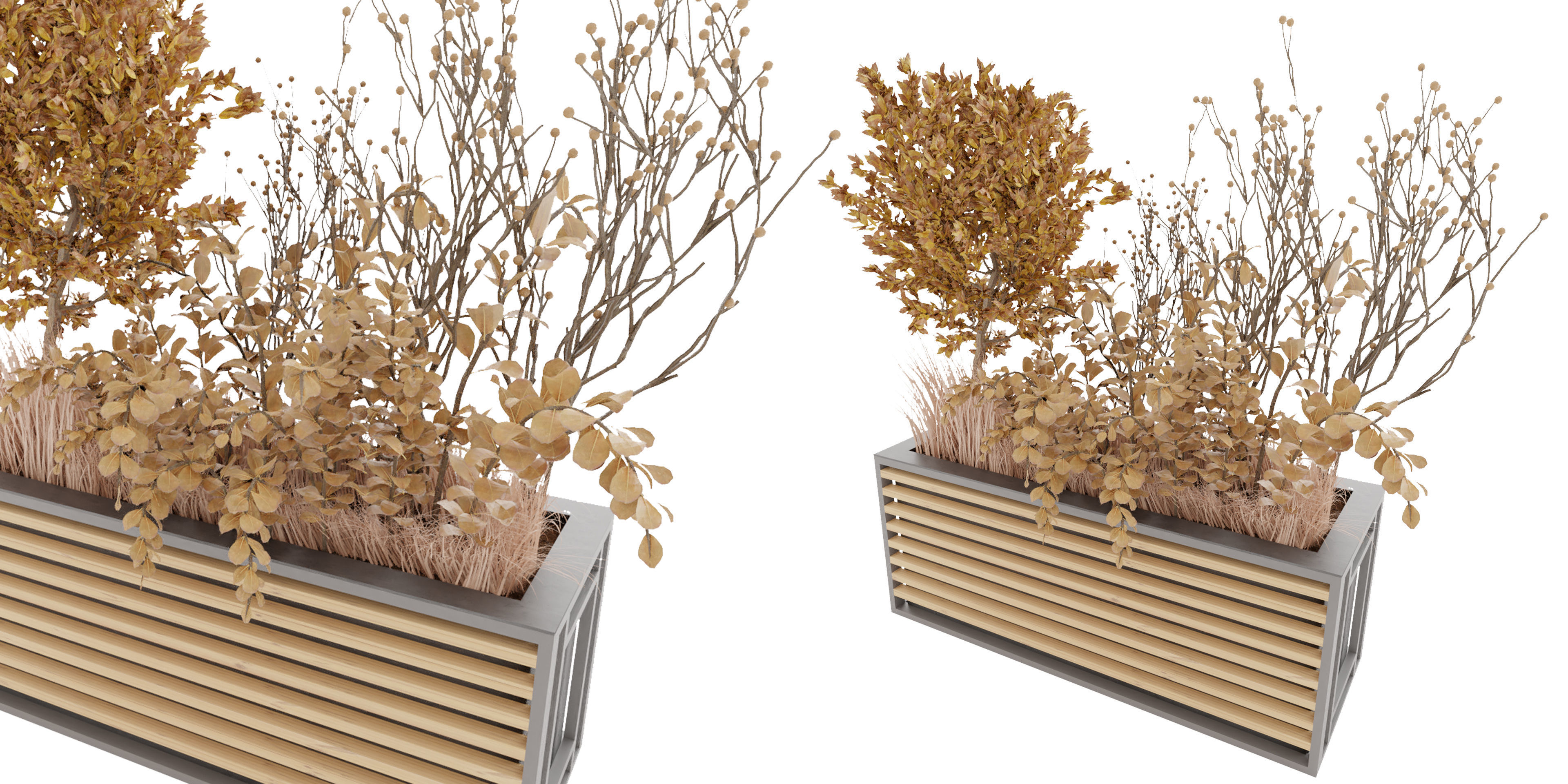 Collection plant vol 20 - blender model 3D model | CGTrader
