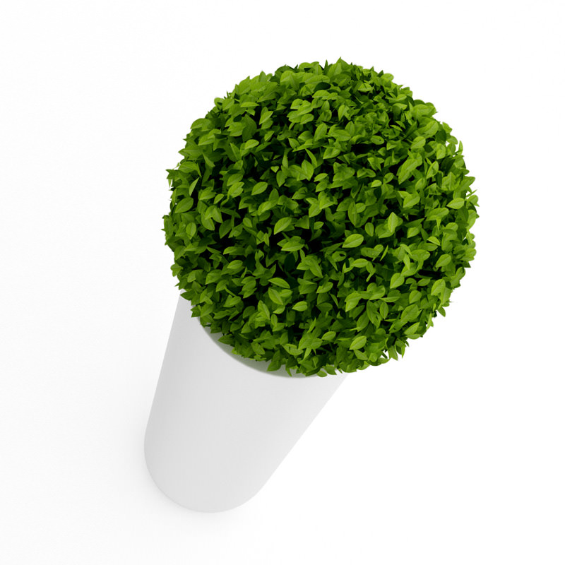 Spherical house plant 3D model | CGTrader