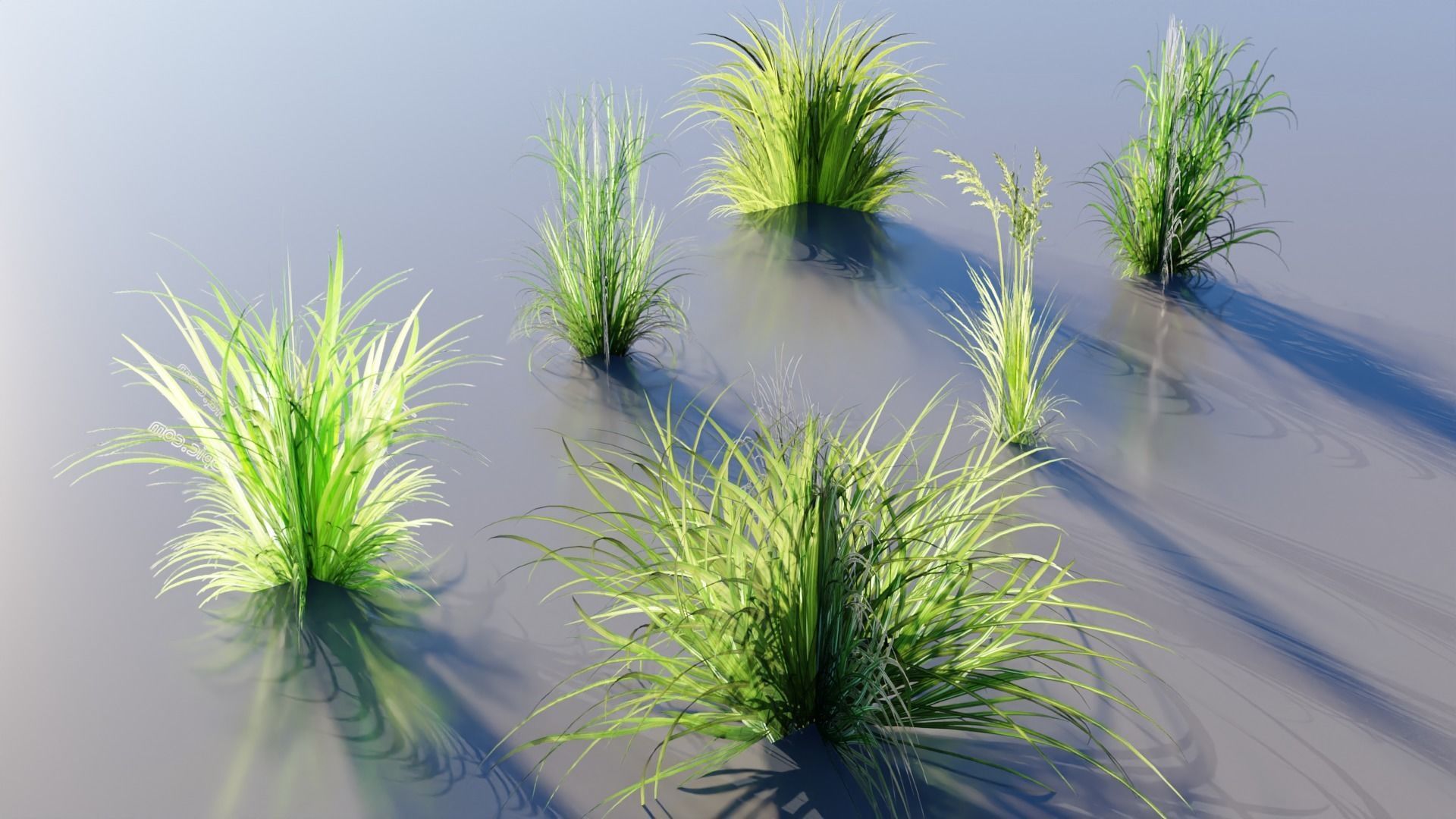 3D model Low Poly Grass pack - 3D Model VR / AR / low-poly | CGTrader