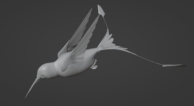 hummingbird 3D model | CGTrader