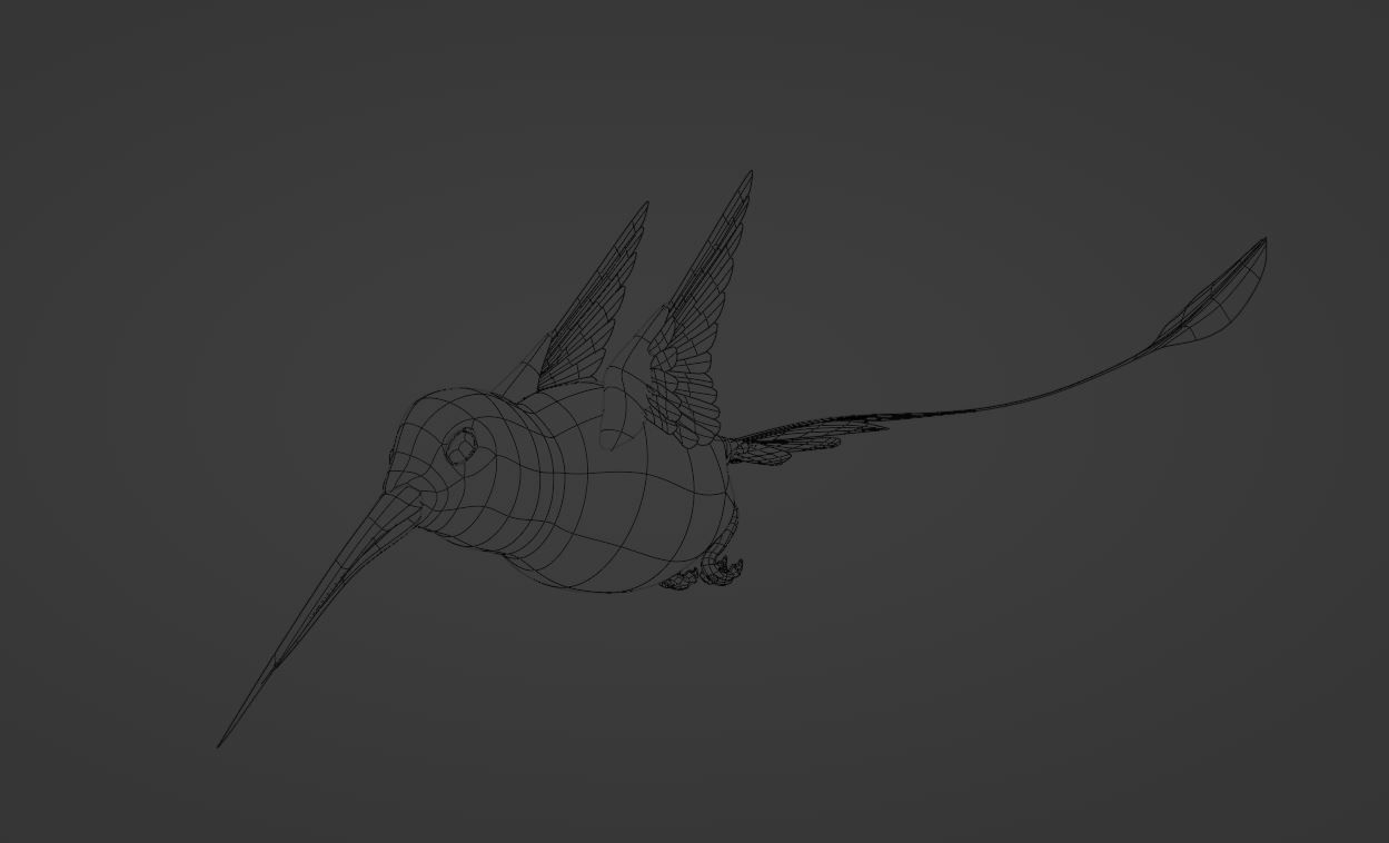 hummingbird 3D model | CGTrader
