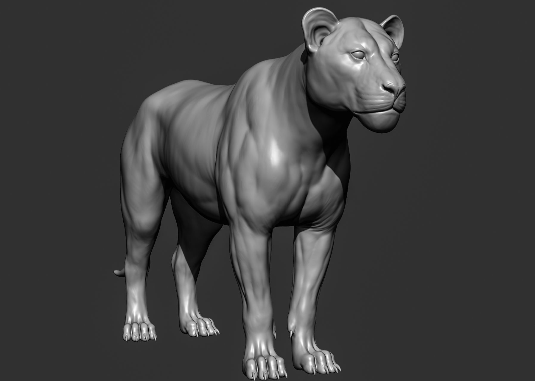 Wild animal collection 3D model | CGTrader