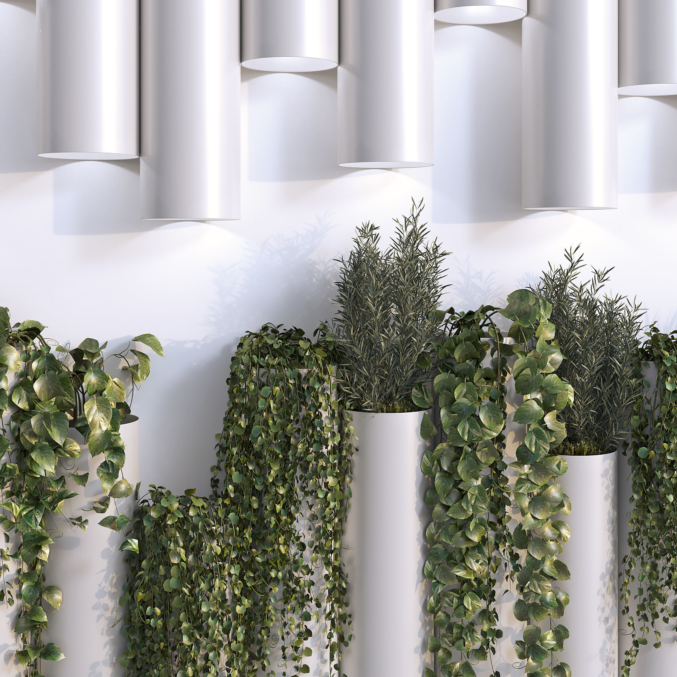 Decorative Plant Cylinders 3D model | CGTrader