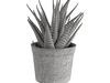 Plant Decor - Photogrammetry 3D model | CGTrader