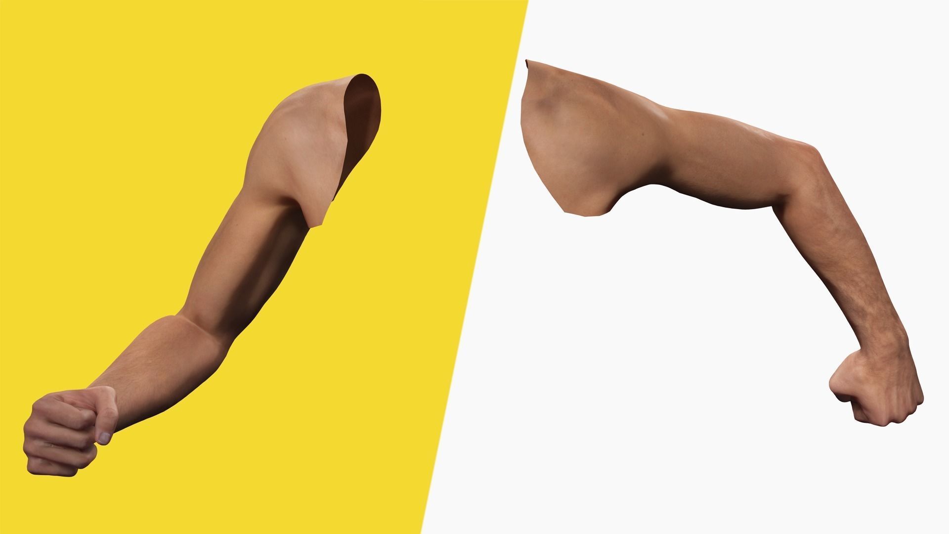 3D model VR 4K Realistic Hands Multi-Skins Colors Rigged HQ VR / AR ...