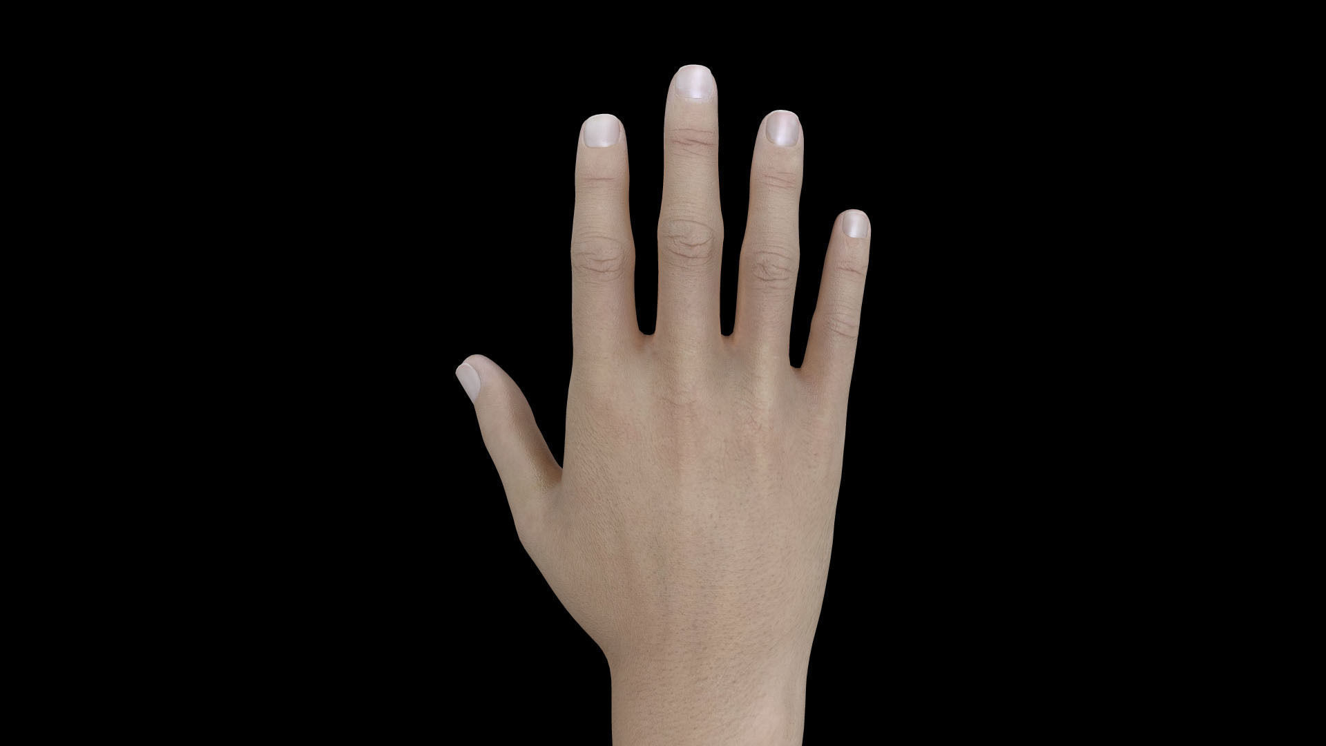 HAND07 Rigged Right Hand 3D model rigged | CGTrader
