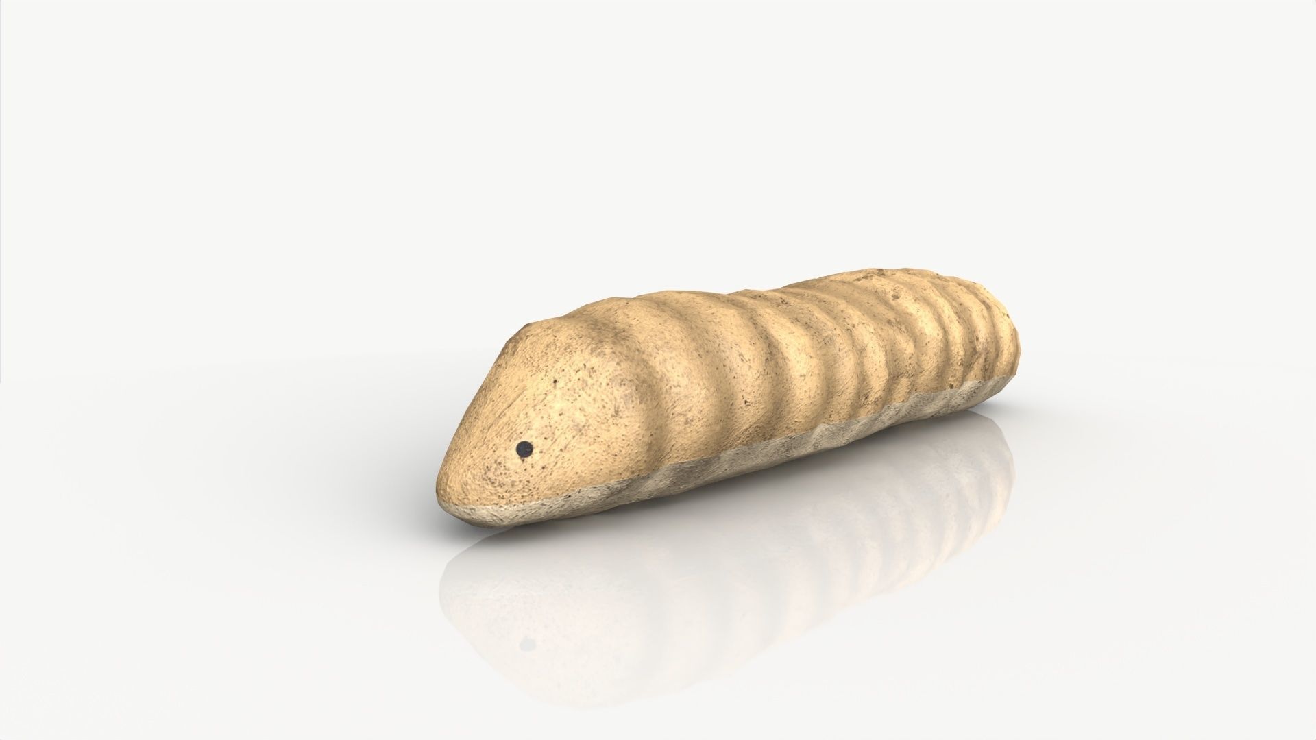 Worm FREE free VR / AR / low-poly 3D model | CGTrader