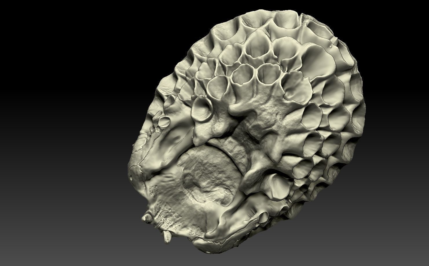 predator skull yautja prey 3D model 3D printable | CGTrader