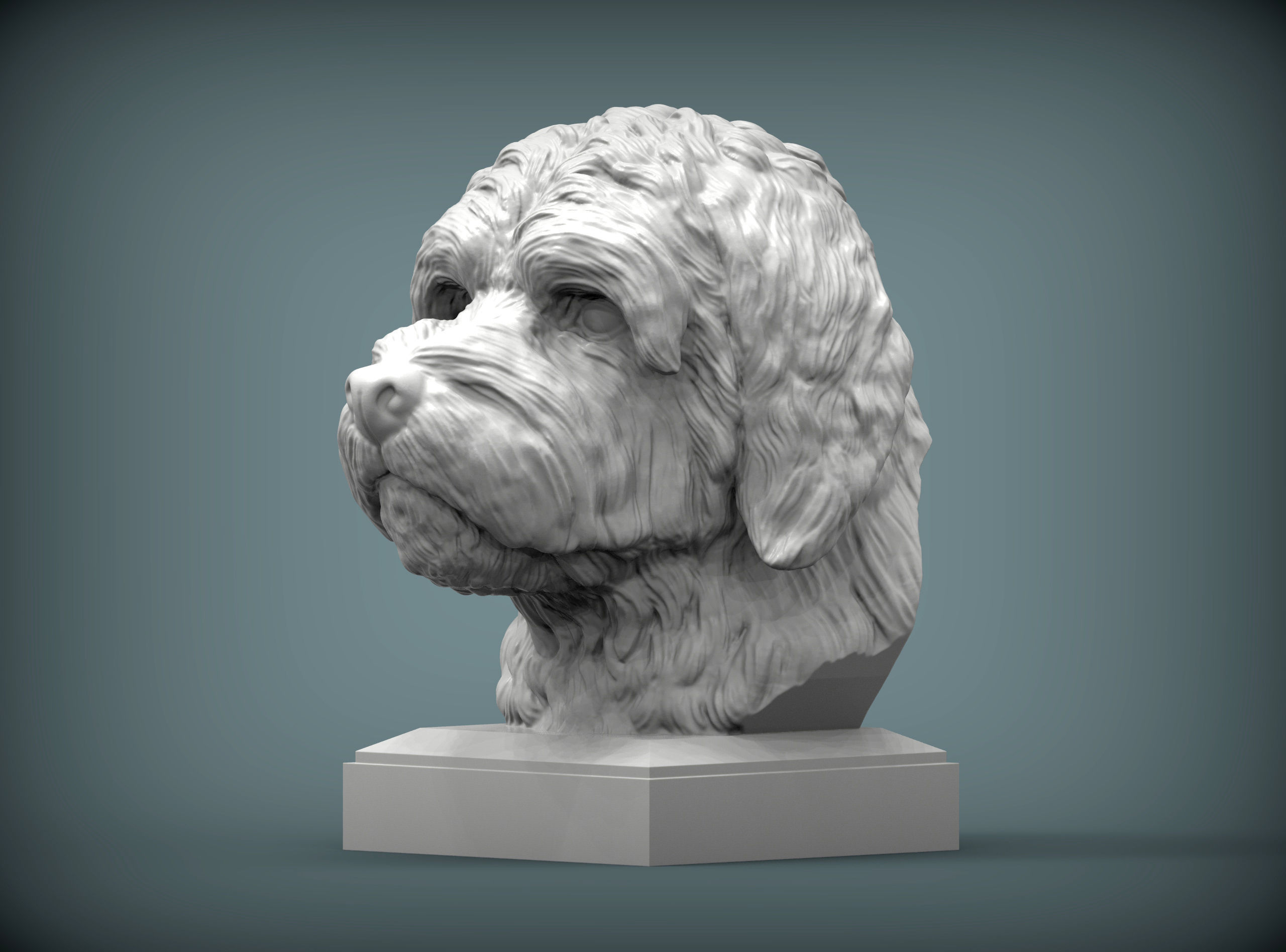 GoldenDoodle bust 3D model 3D printable | CGTrader