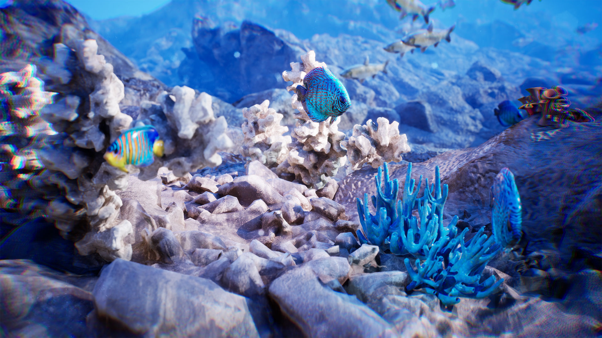3D model Ocean Floor Pack High Quality Environment VR / AR / low-poly ...