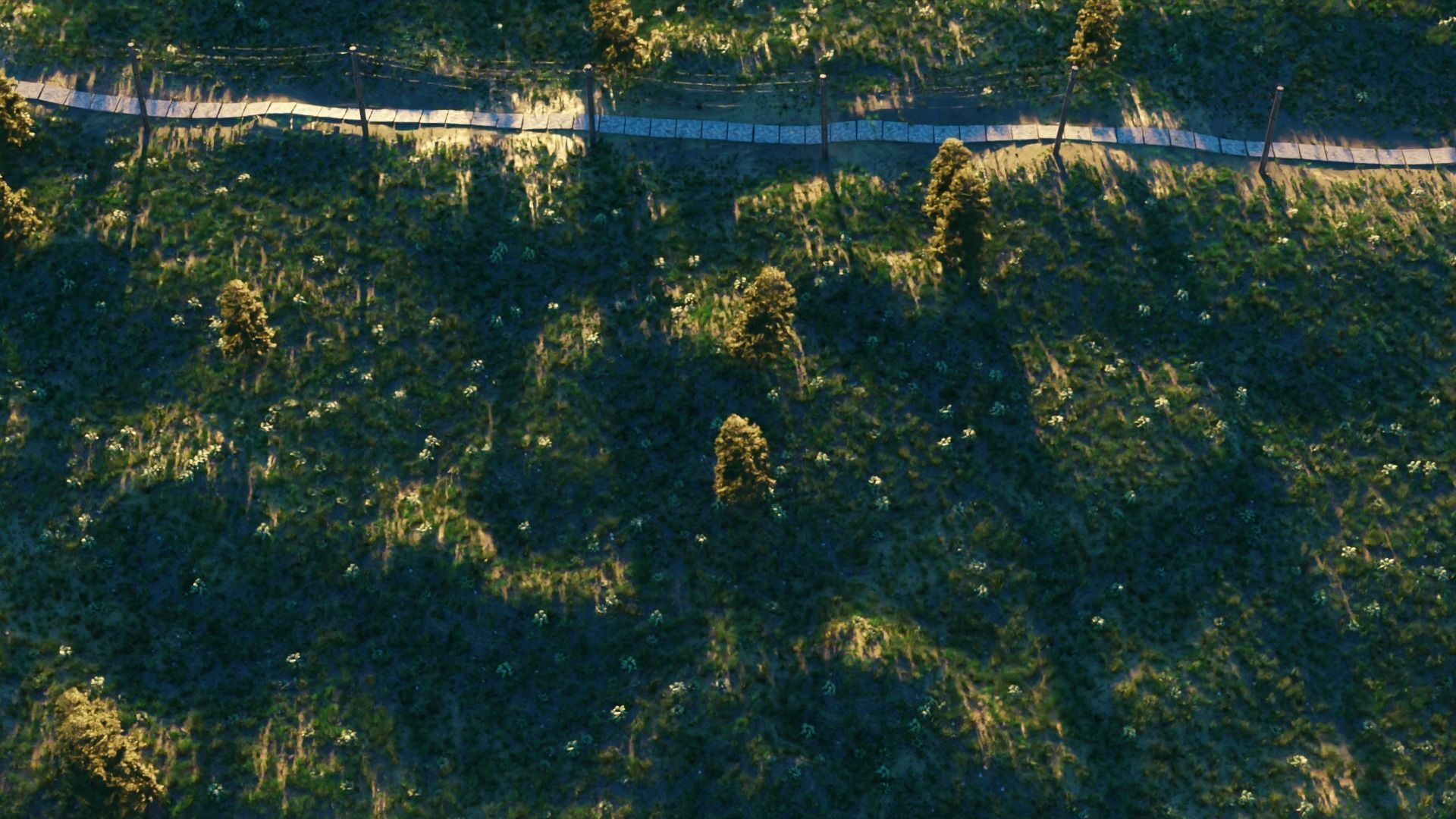 Field road 3D model | CGTrader