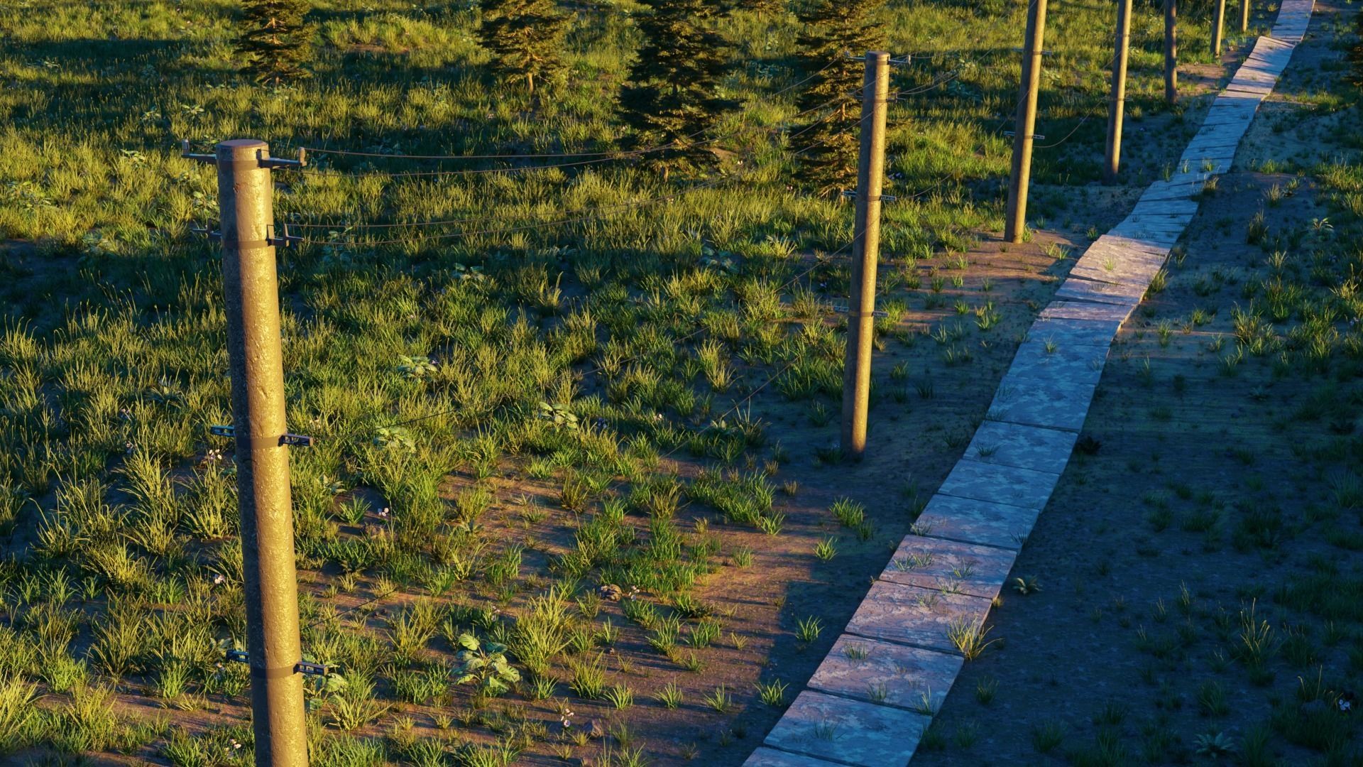 Field road 3D model | CGTrader