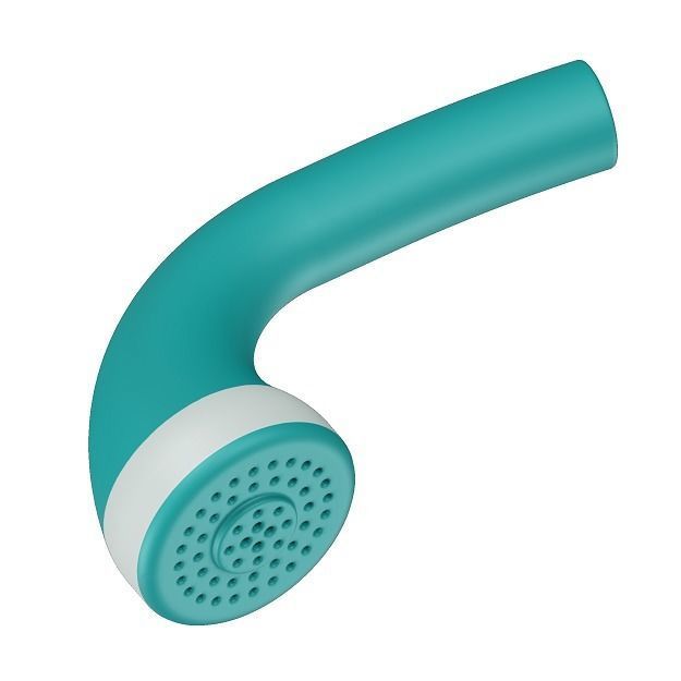 Luxury Plastic Hand Shower 3D model | CGTrader