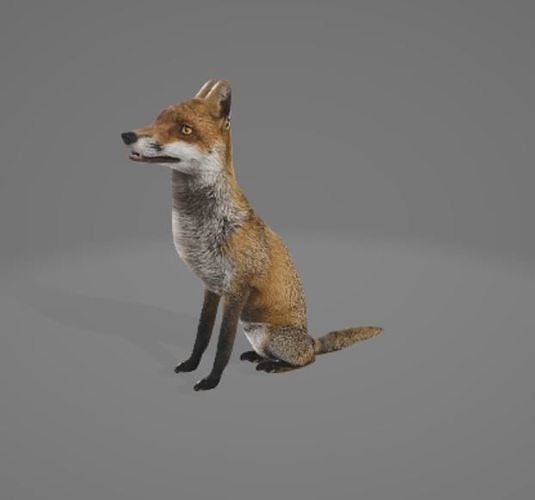 Animated Fox 3D model animated | CGTrader