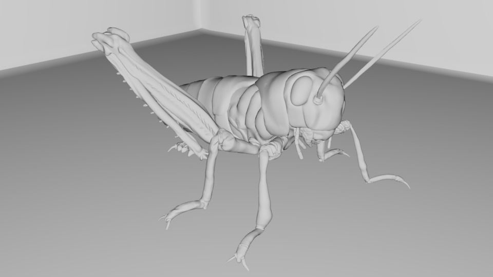 3D model 4 Type of insects VR / AR / low-poly | CGTrader