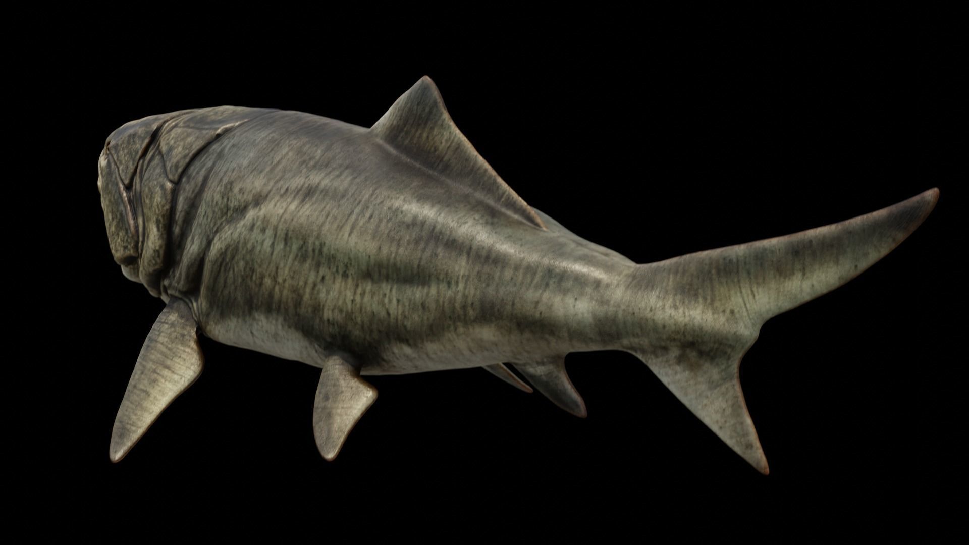 3D model Dunkleosteus Prehistoric Fish VR / AR / low-poly | CGTrader