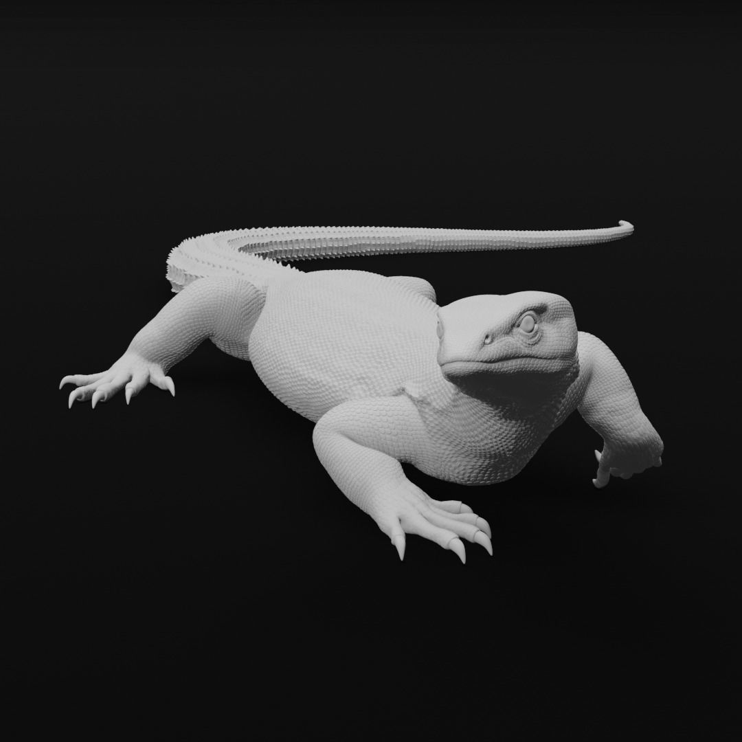 Ackie Monitor - Spiny Tailed Monitor - Lizard Reptile 3D Print 3D model ...