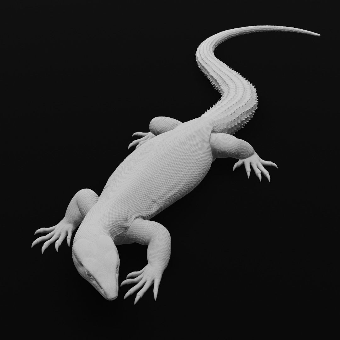 Ackie Monitor - Spiny Tailed Monitor - Lizard Reptile 3D Print 3D model ...