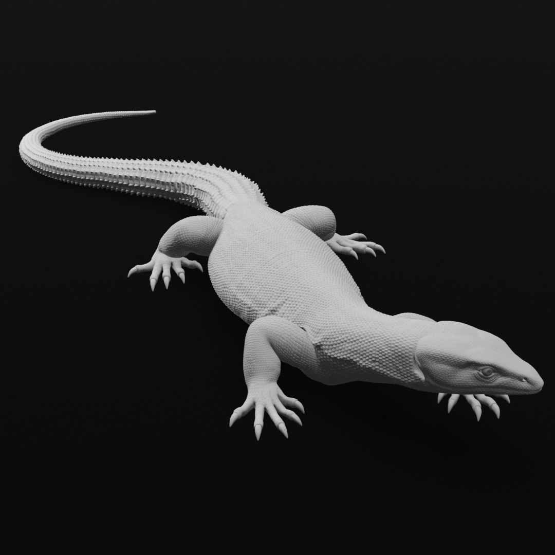 Ackie Monitor - Spiny Tailed Monitor - Lizard Reptile 3D Print 3D model ...