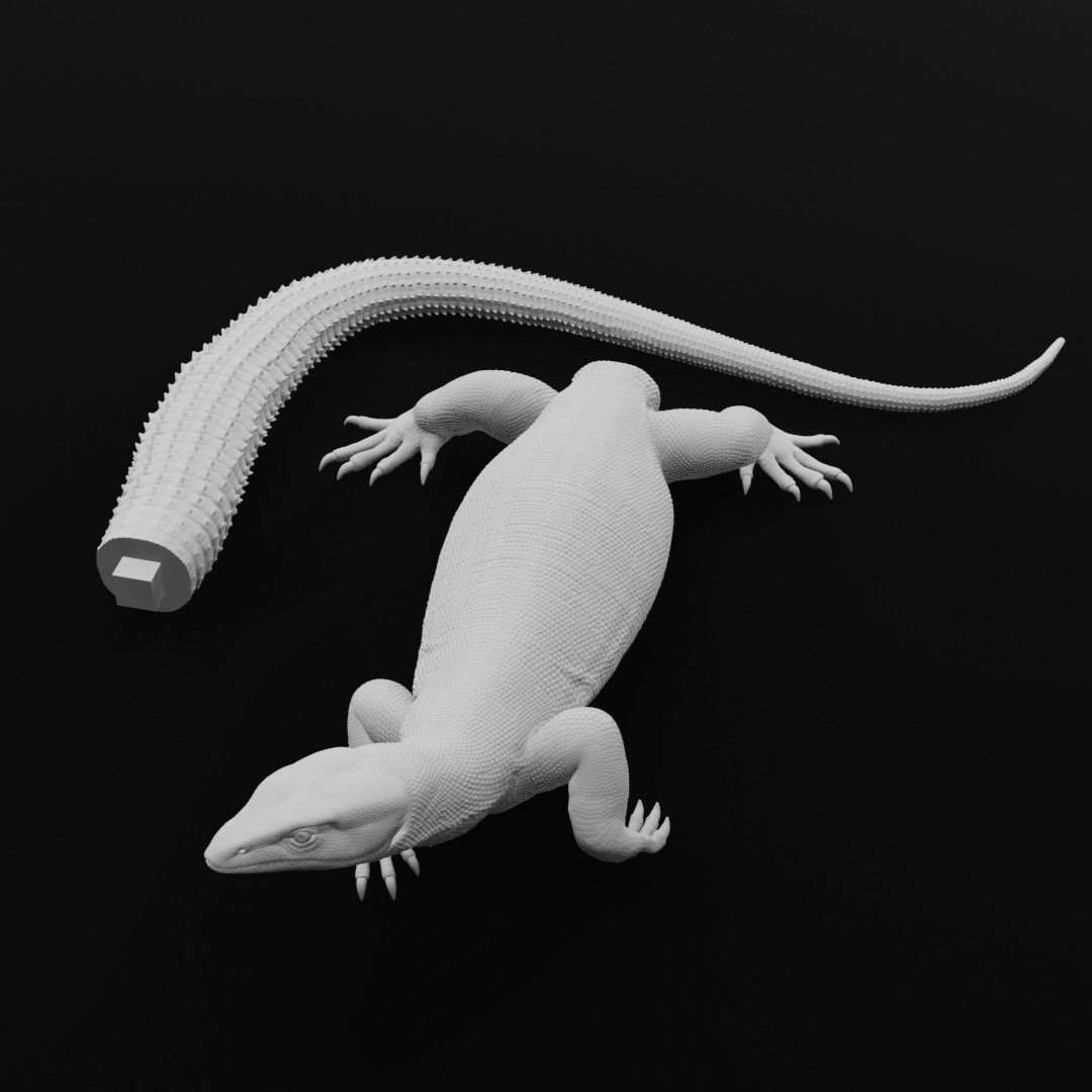 Ackie Monitor - Spiny Tailed Monitor - Lizard Reptile 3D Print 3D model ...