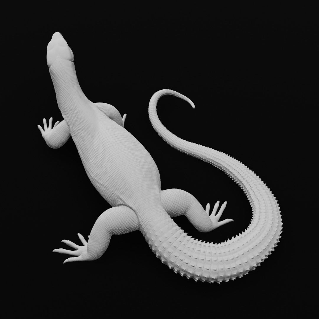 Ackie Monitor - Spiny Tailed Monitor - Lizard Reptile 3D Print 3D model ...