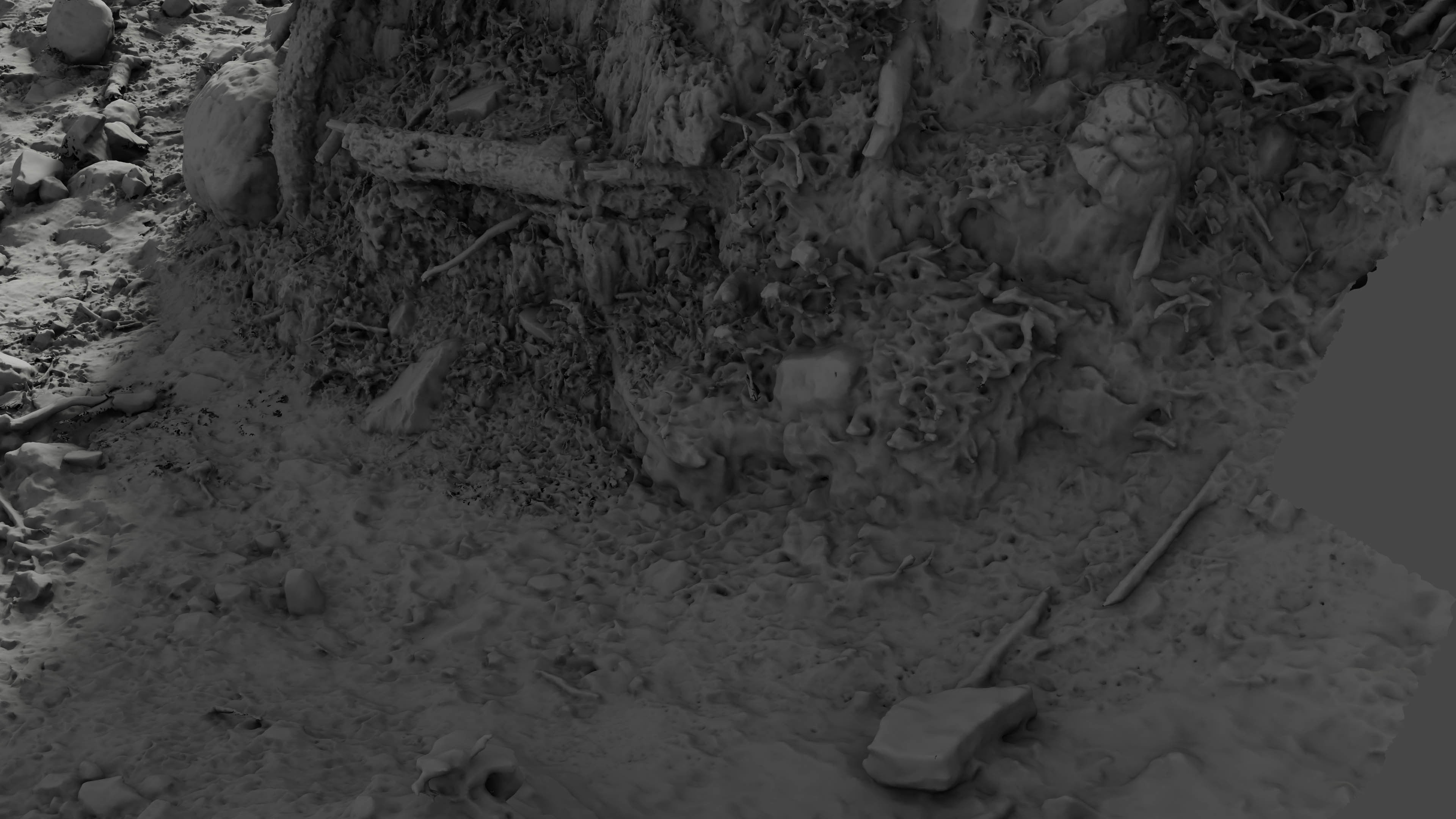 oakpine 3D model | CGTrader