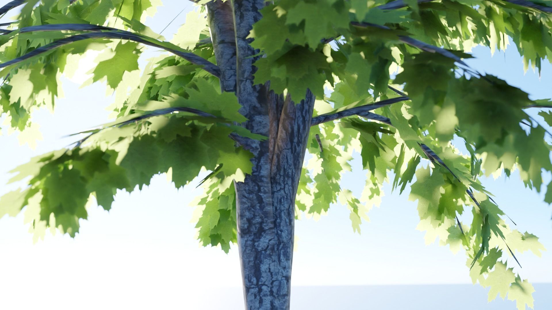 3D model Maple Tree Pack - Realistic Tree 3d Model VR / AR / low-poly ...