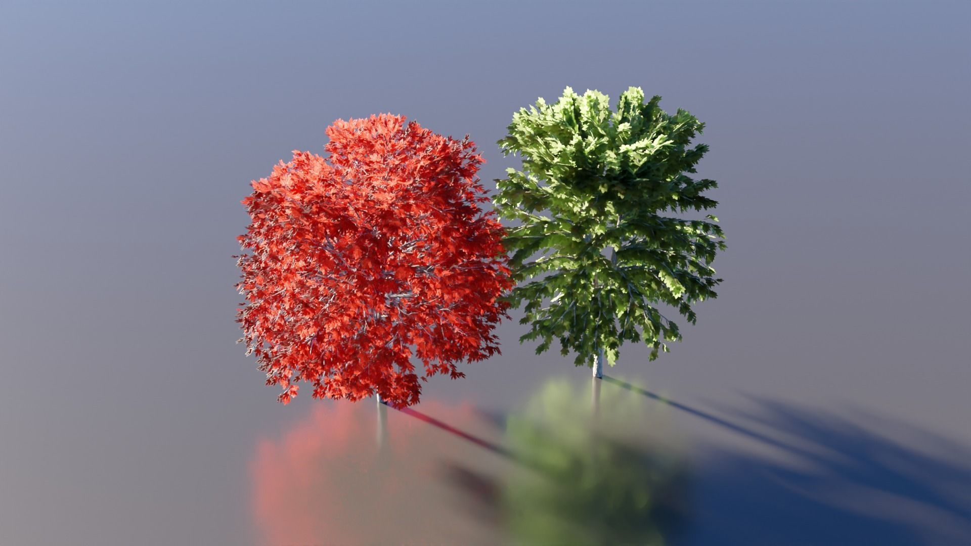 3D model Maple Tree Pack - Realistic Tree 3d Model VR / AR / low-poly ...