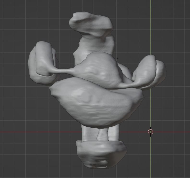 3D Model of Pelvis Organs 3D model 3D printable | CGTrader