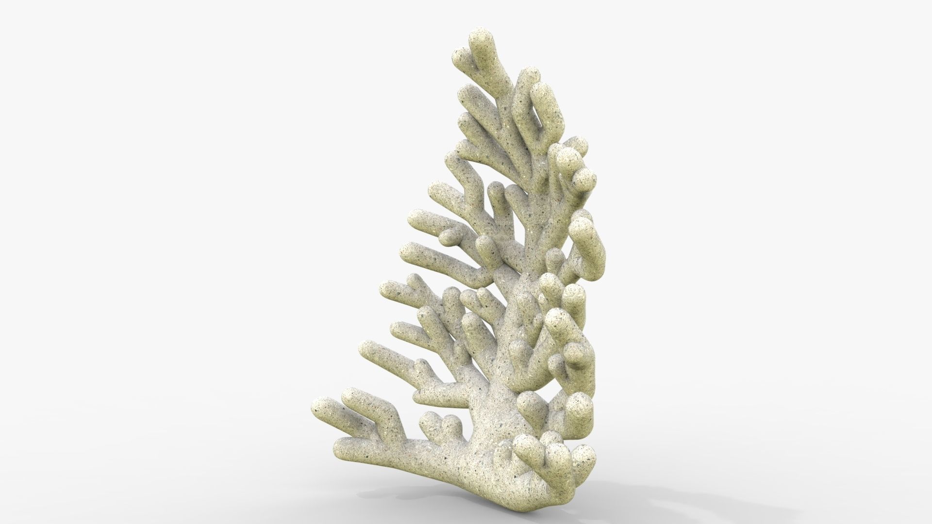 Coral 3D Model 3D model | CGTrader