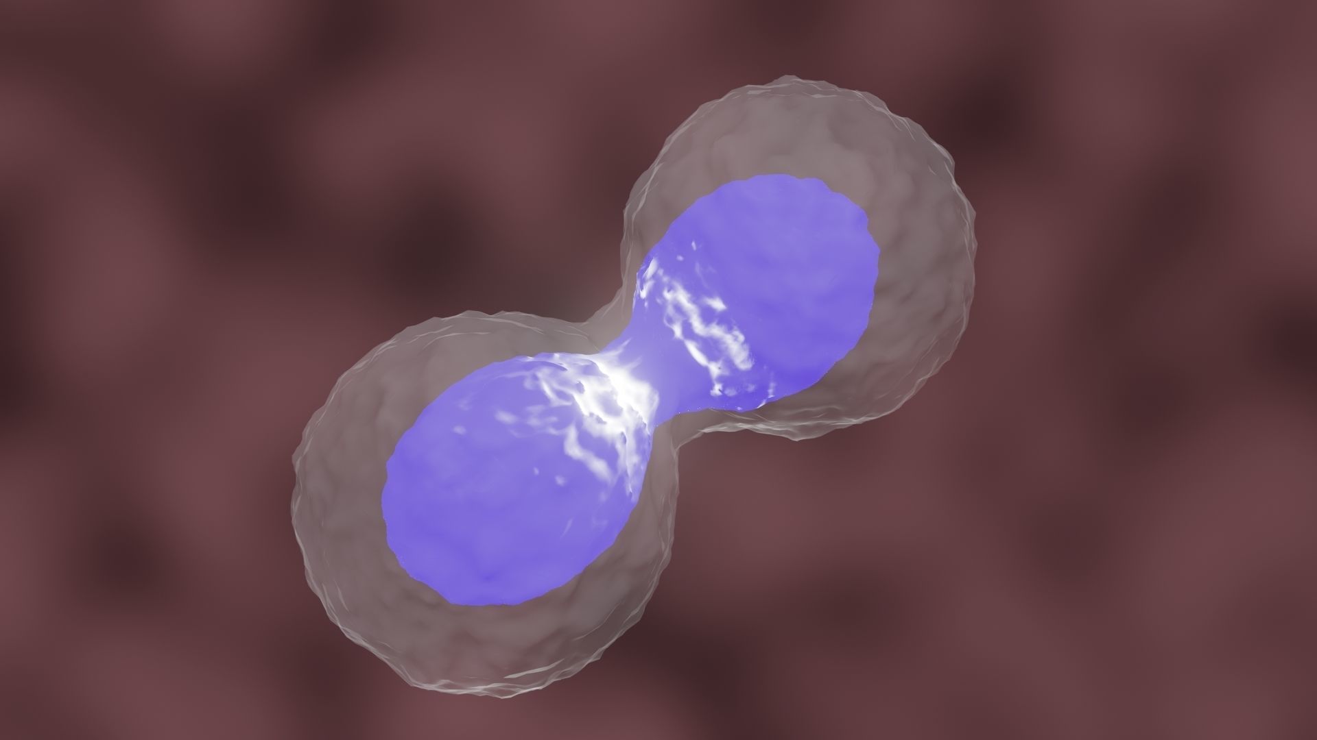 Cell Division or Mitosis 3D model | CGTrader