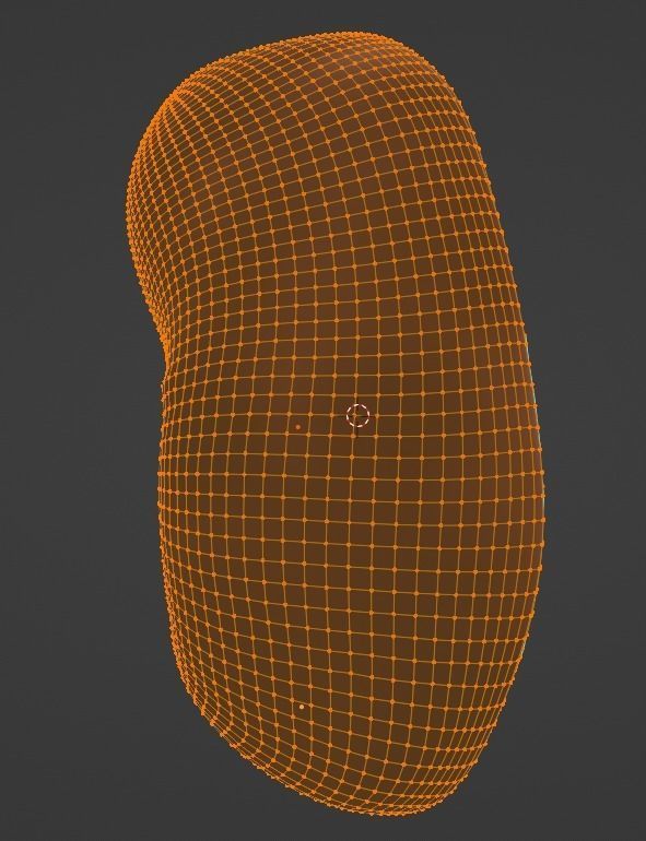 3D Model of Human Kidney cross section 3D model | CGTrader