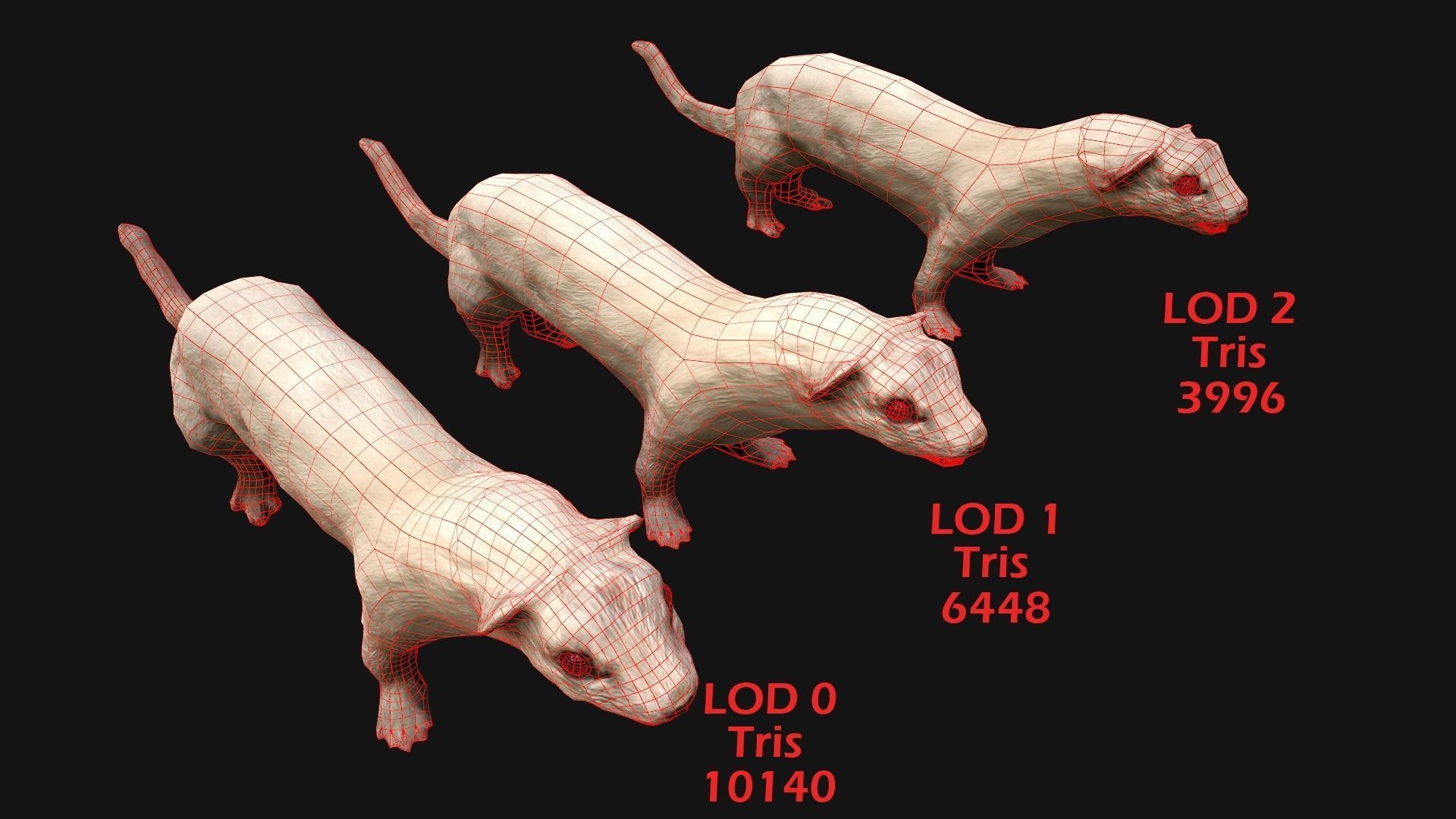 3D model Weasel Ermine VR / AR / low-poly | CGTrader